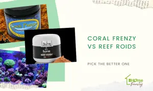 Coral Frenzy vs Reef Roids- Pick the Better Coral Food - Home Forestry